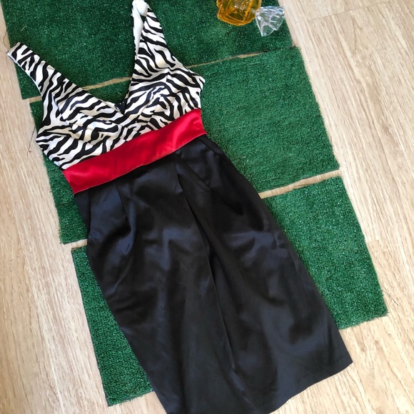 Dresses | Zebra Print Contrast Pinup Girl Dress | Poshmark